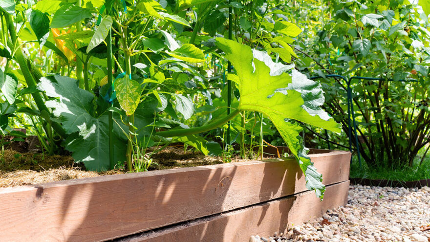 Sten NCC – Handla stenmaterial snabbt och enkelt